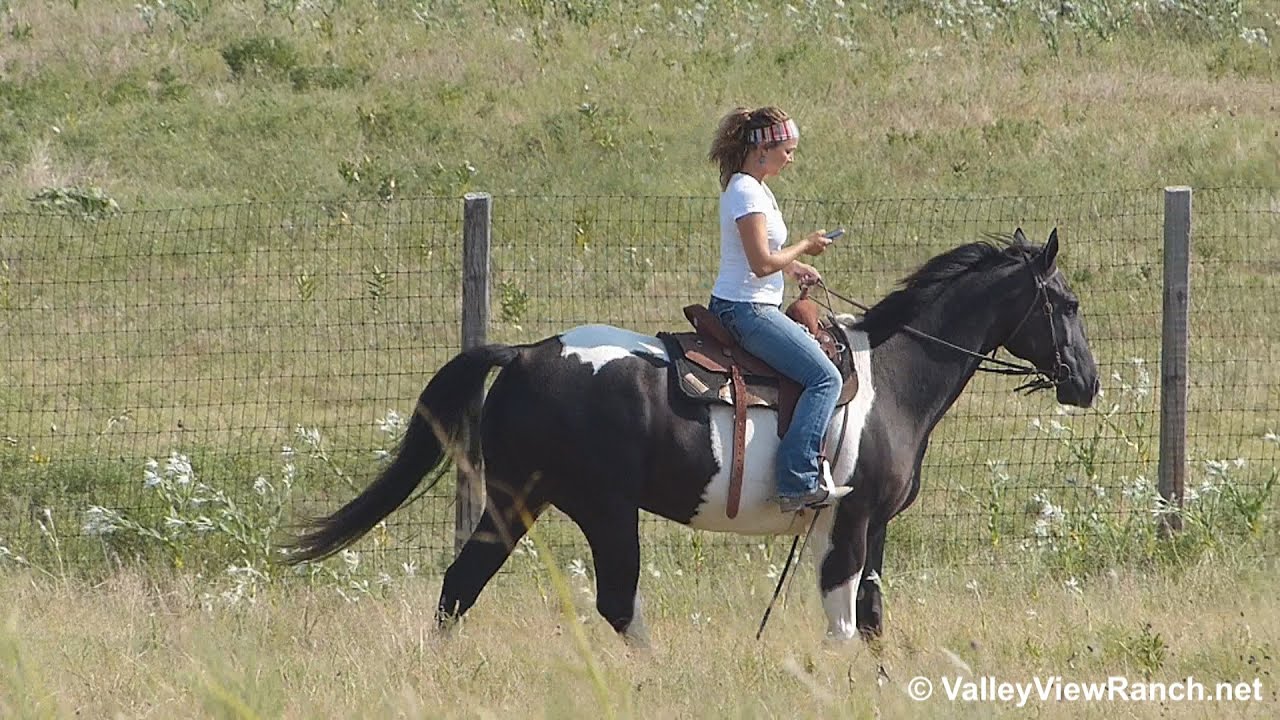 BW - trail riding - Valley View Ranch - YouTube