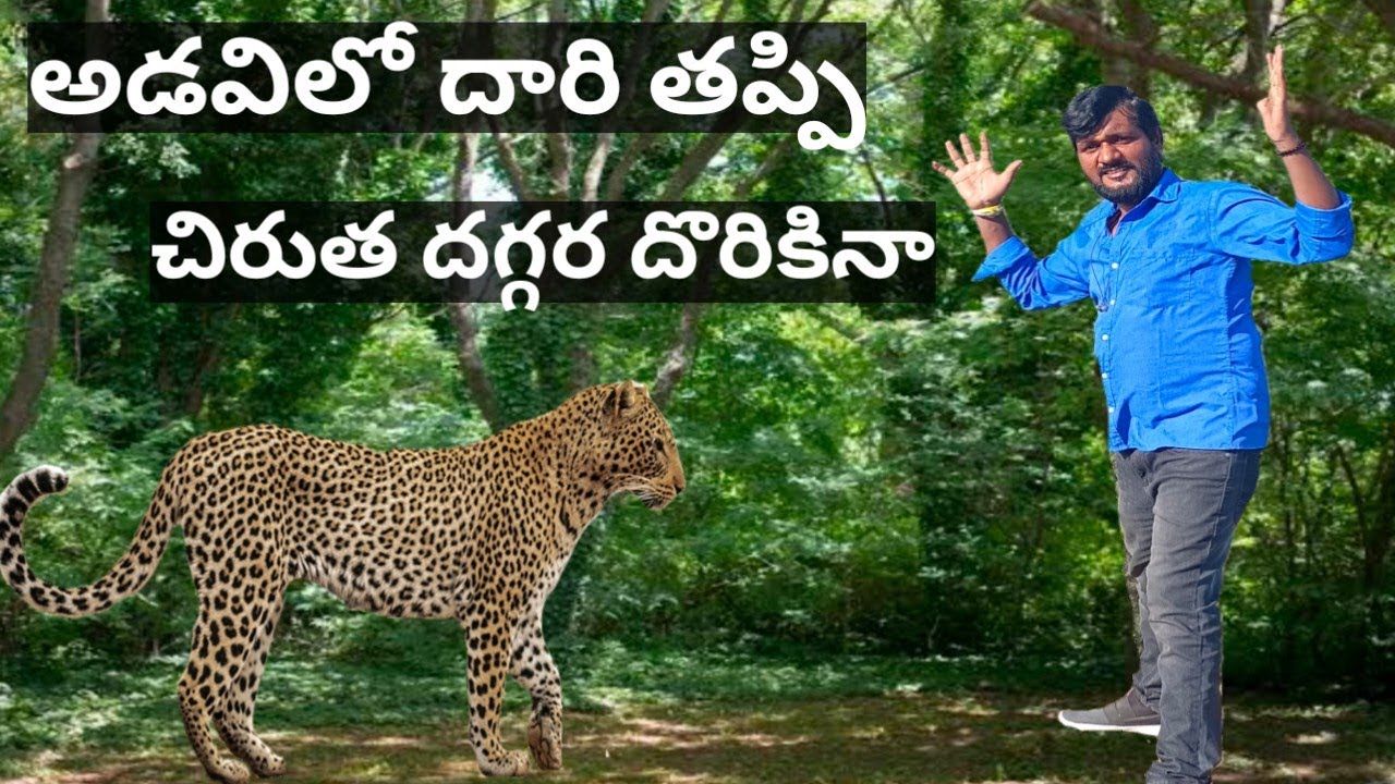 అడవిలో దారి తప్పి చిరుత దగ్గర దొరికినా| devara konda Ramnagar ram betta ...