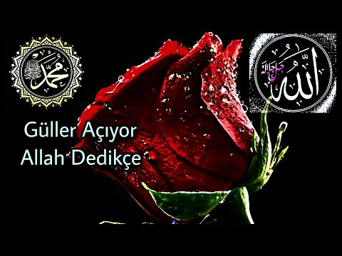 Güller Açıyor Allah Dedikçe • Gökhan Kozoğlu