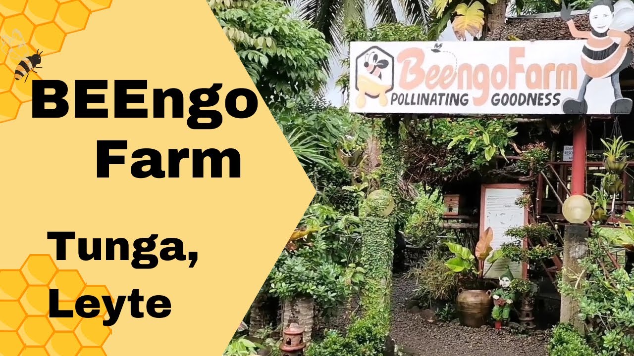 Pensor TV | Beengo Farm, Tunga Leyte - YouTube