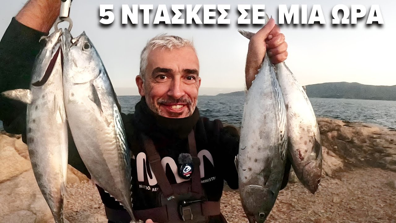 Πεντε ΝΤΑΣΚΕΣ σε μια ΩΡΑ💪🏼💥5 false albacores in an hour (Ψαρεματα Shore ...