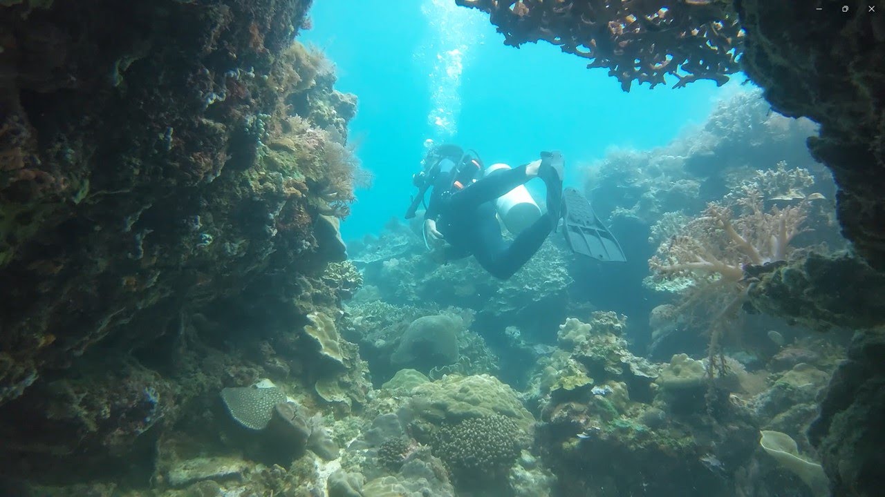 Shore Dives - YouTube