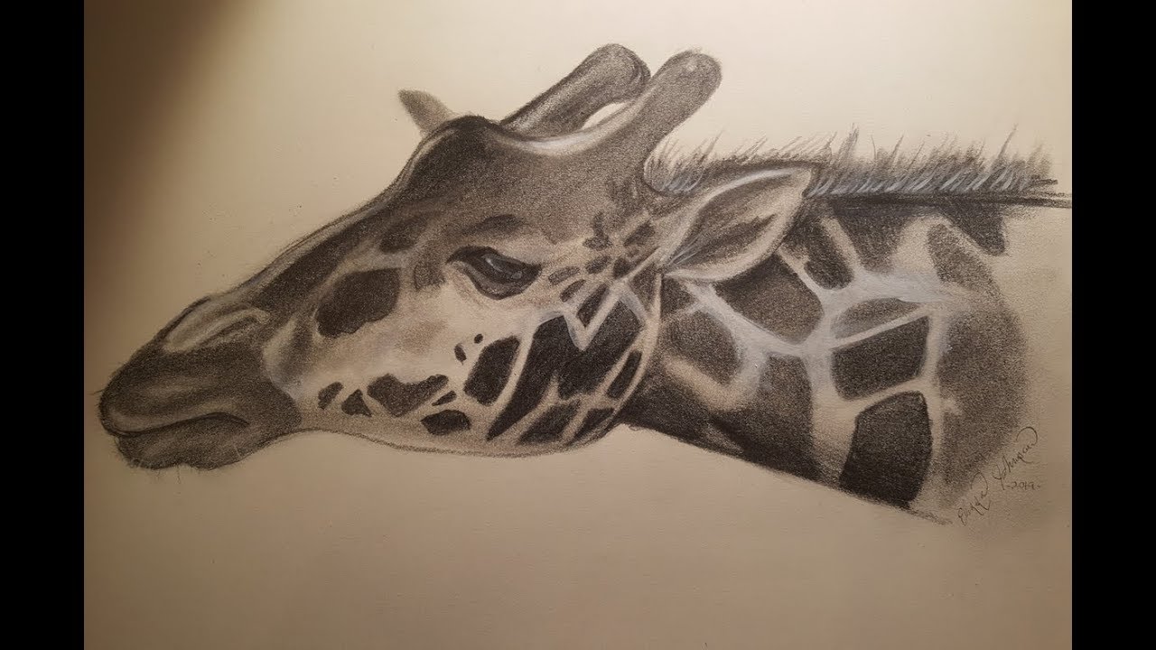 Giraffe in Graphite - YouTube