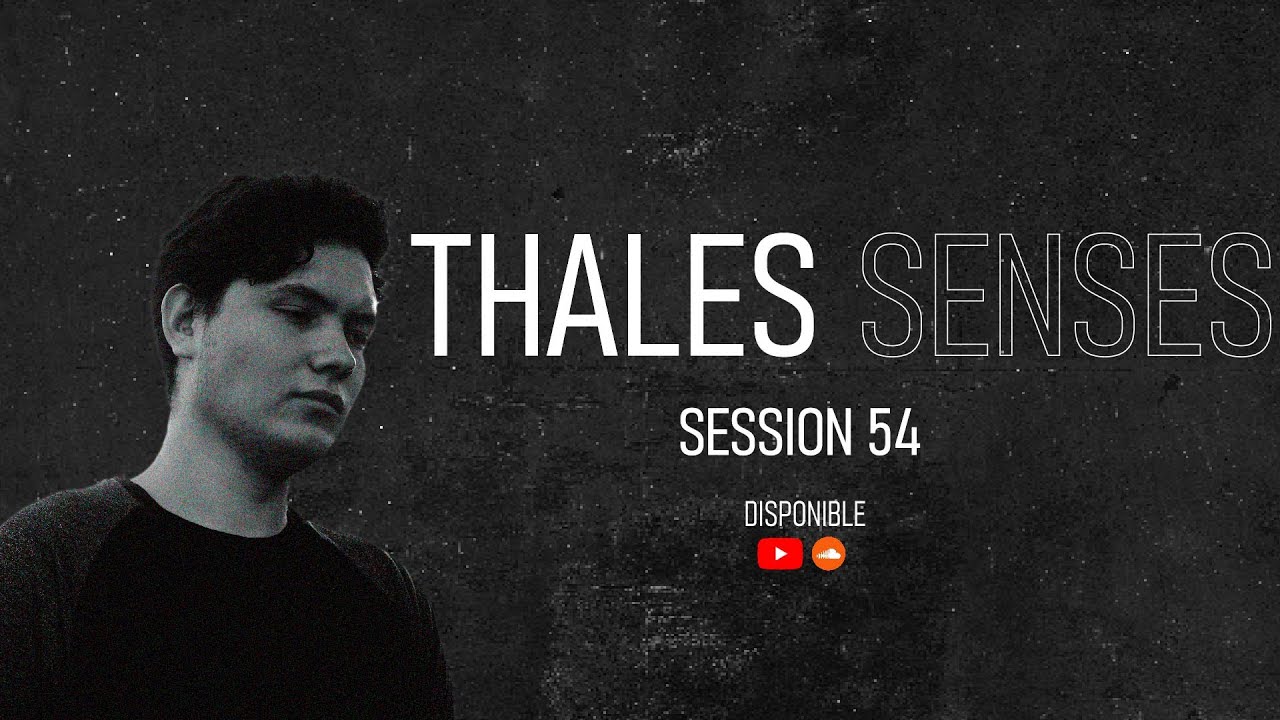Session 54 - Thales Senses - YouTube