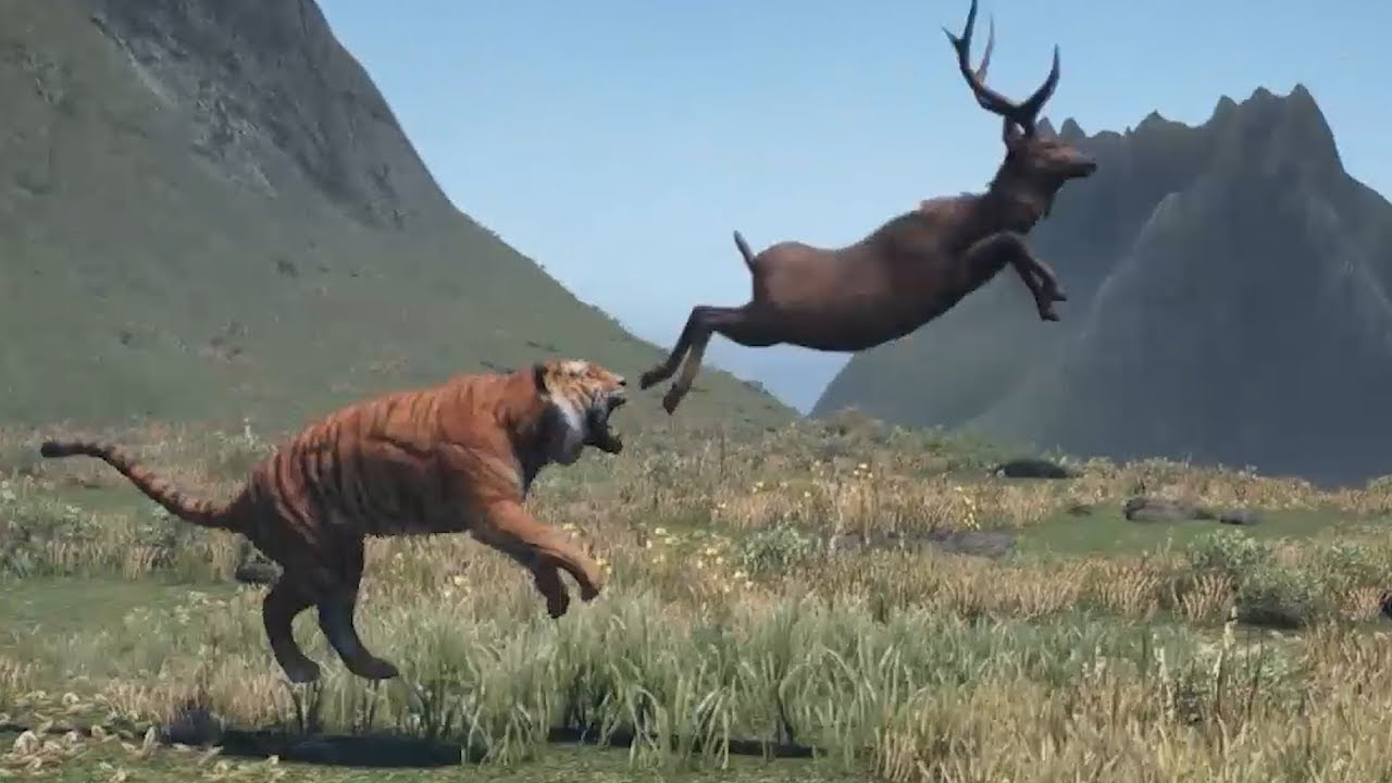 tiger hunting in jungle park - YouTube