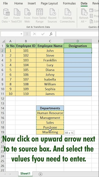 Data Validation in Excel - Insert Drop Down List in Excel - Excel Tip #15 - YouTube