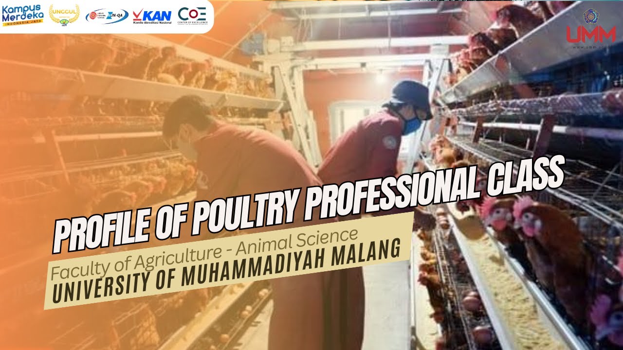 Profile of poultry Professional class | Animal Science Department | FPP ...