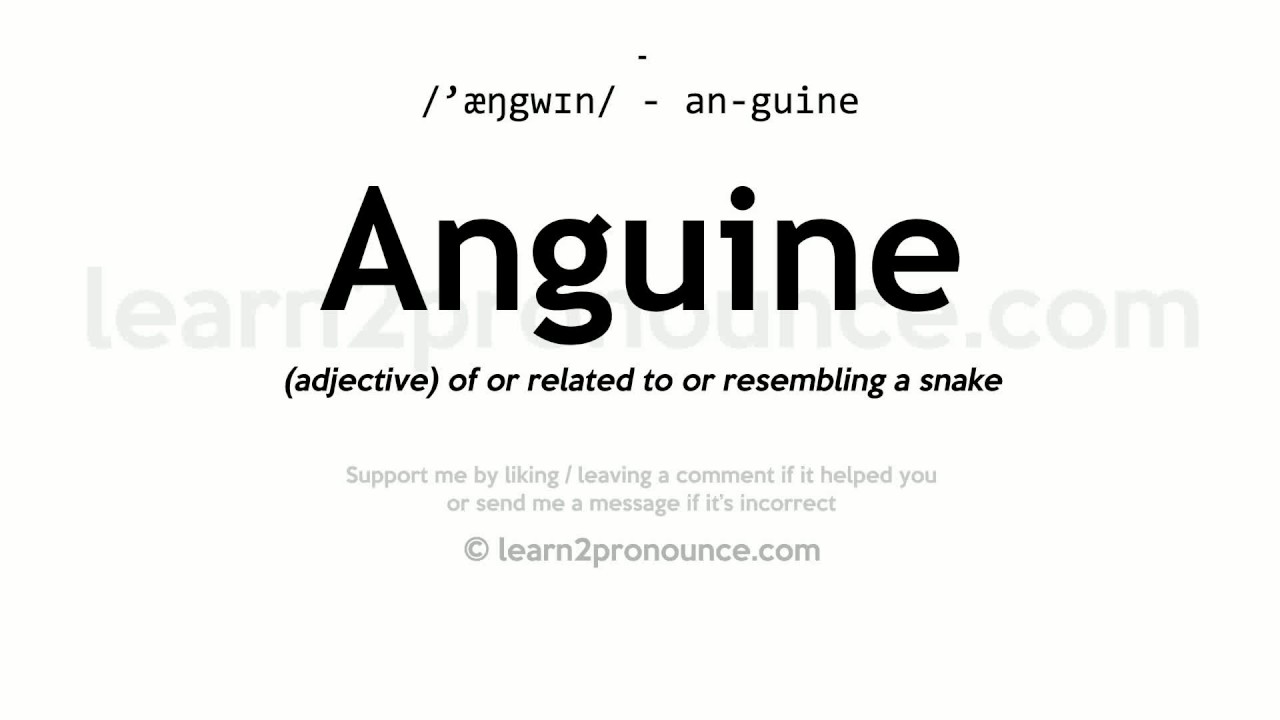 Pronunciation of Anguine | Definition of Anguine - YouTube