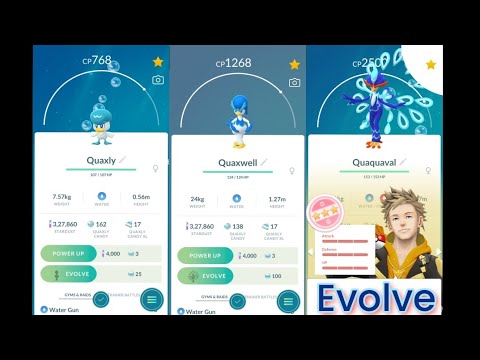 Quaxly 100iv Pokemon Evolve Quaxwell,Quaquaval Pokemon evolution # ...