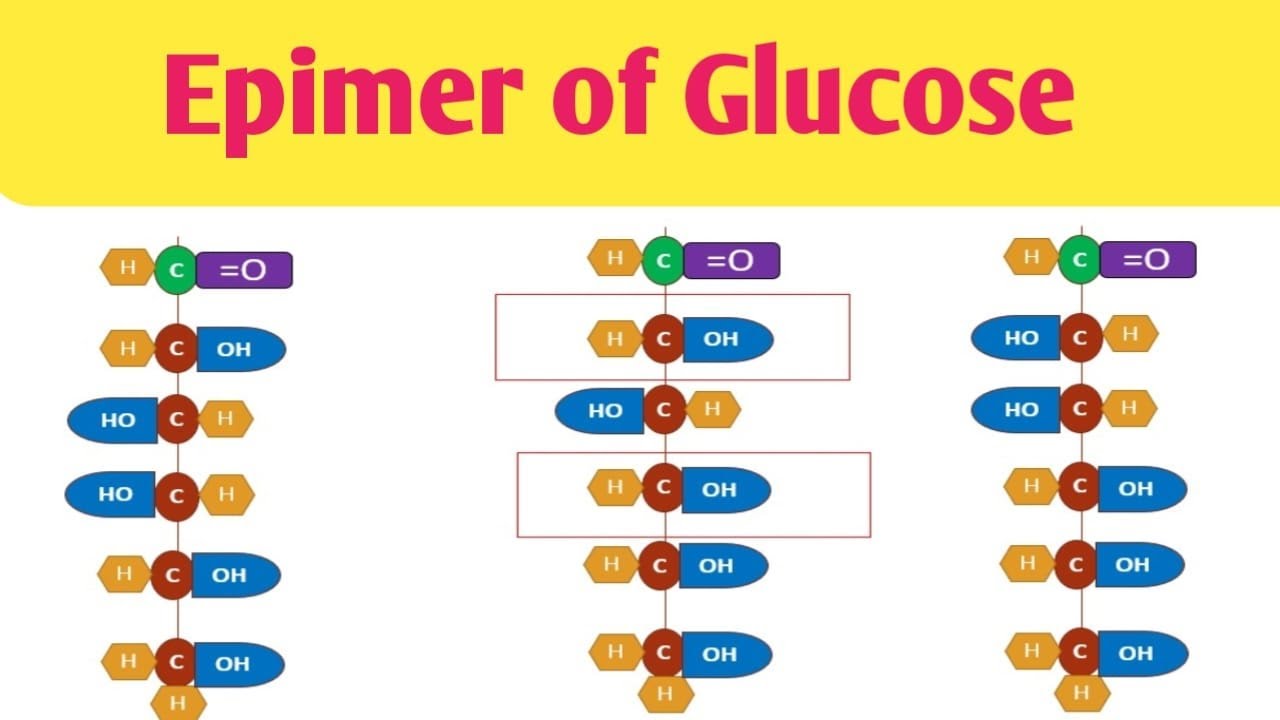 Epimer of Glucose| Difference in Glucose & Mannose| Difference in ...