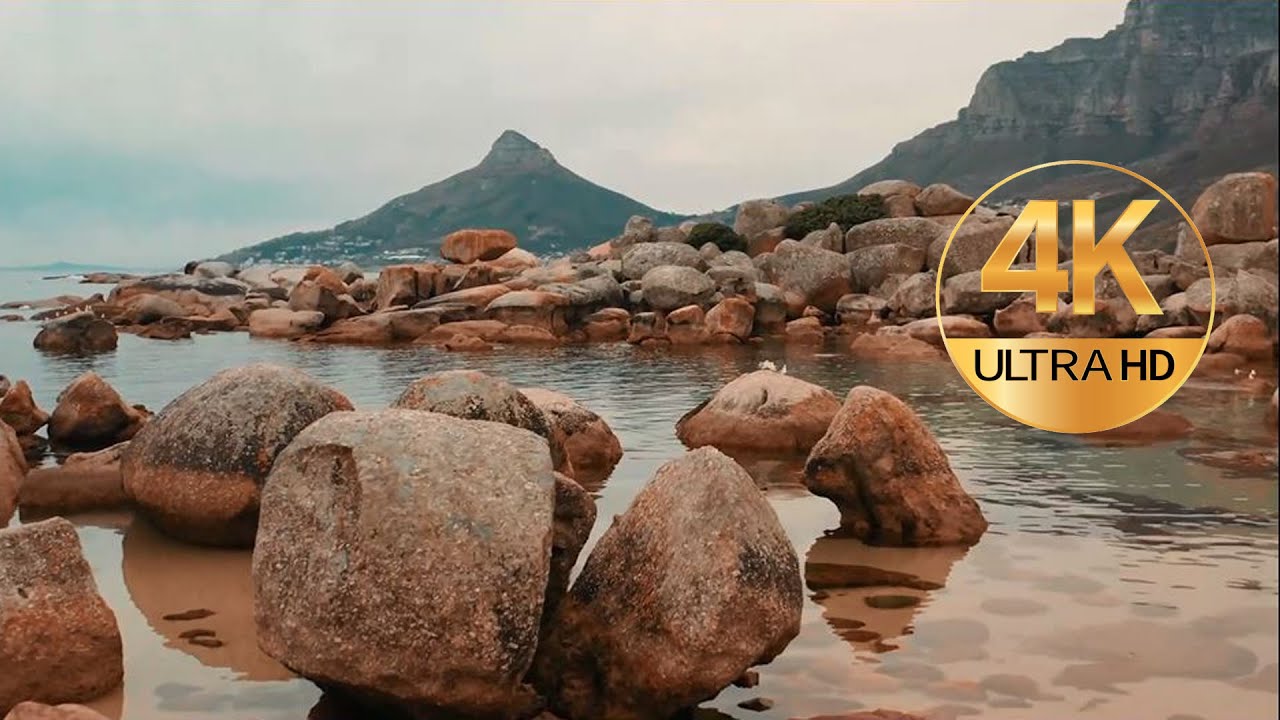 Natural landscape relaxing 4k Scene (Wild life) - YouTube