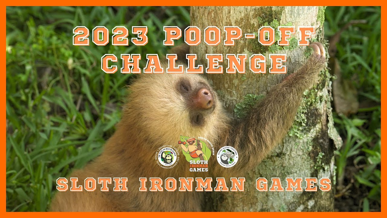 GAME 4: Poop-Off Challenge | 2023 Sloth Ironman Games - YouTube