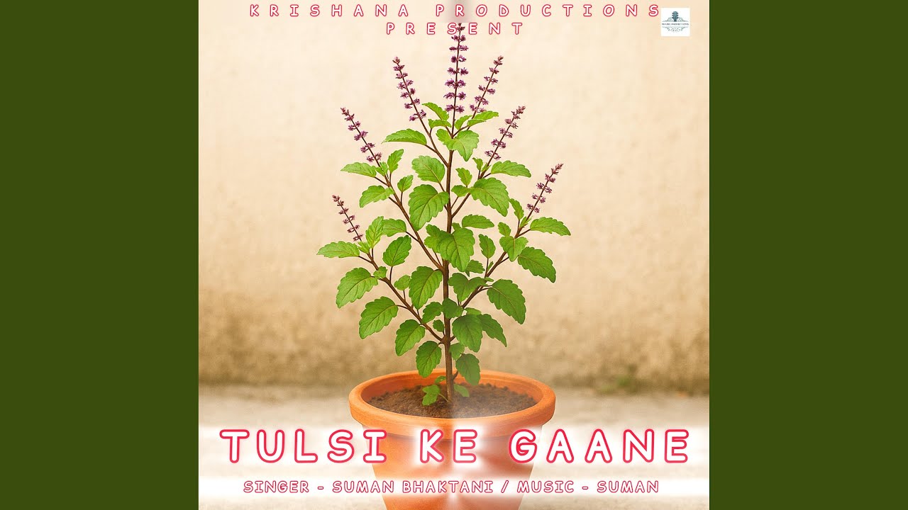 Tulsi Ka Podha - YouTube