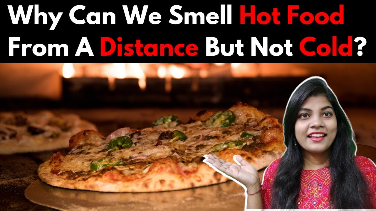 Why Can We Smell Hot Food From A Distance But Not Cold?|| Why do we get ...