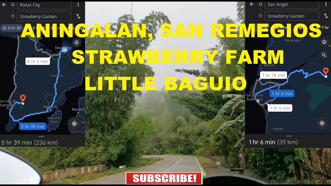 Aningalan, San Remegio, Antique, Highland Strawberry Garden, Little ...