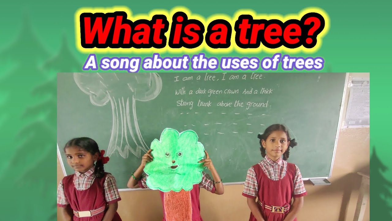 Class 4: English - What is a Tree? A Song About the Uses of Trees ...