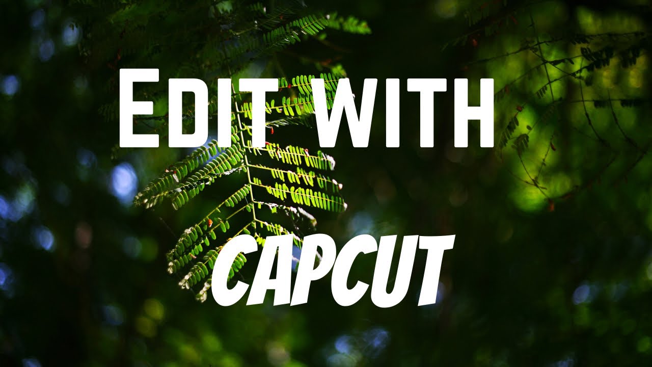 CapCut editing tutorial | How to edit on Capcut mobile app - YouTube