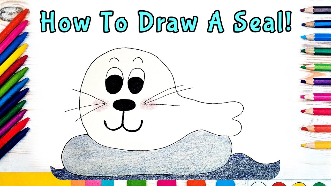 How To Draw A Seal! (Art For Kids!) - Easy Step By Step Beginner Art ...