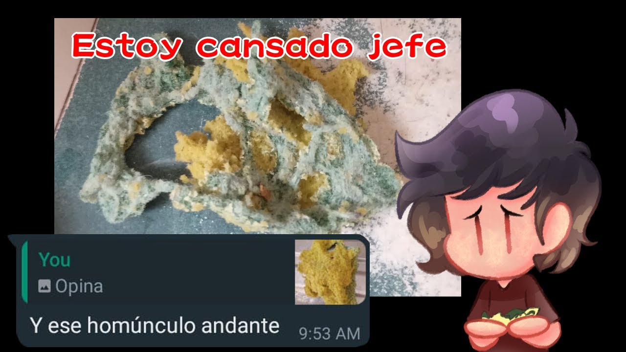 Estoy Cansado Cartoon