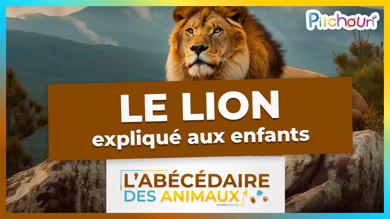 A la découverte du Lion - l'Abécédaire des Animaux - YouTube