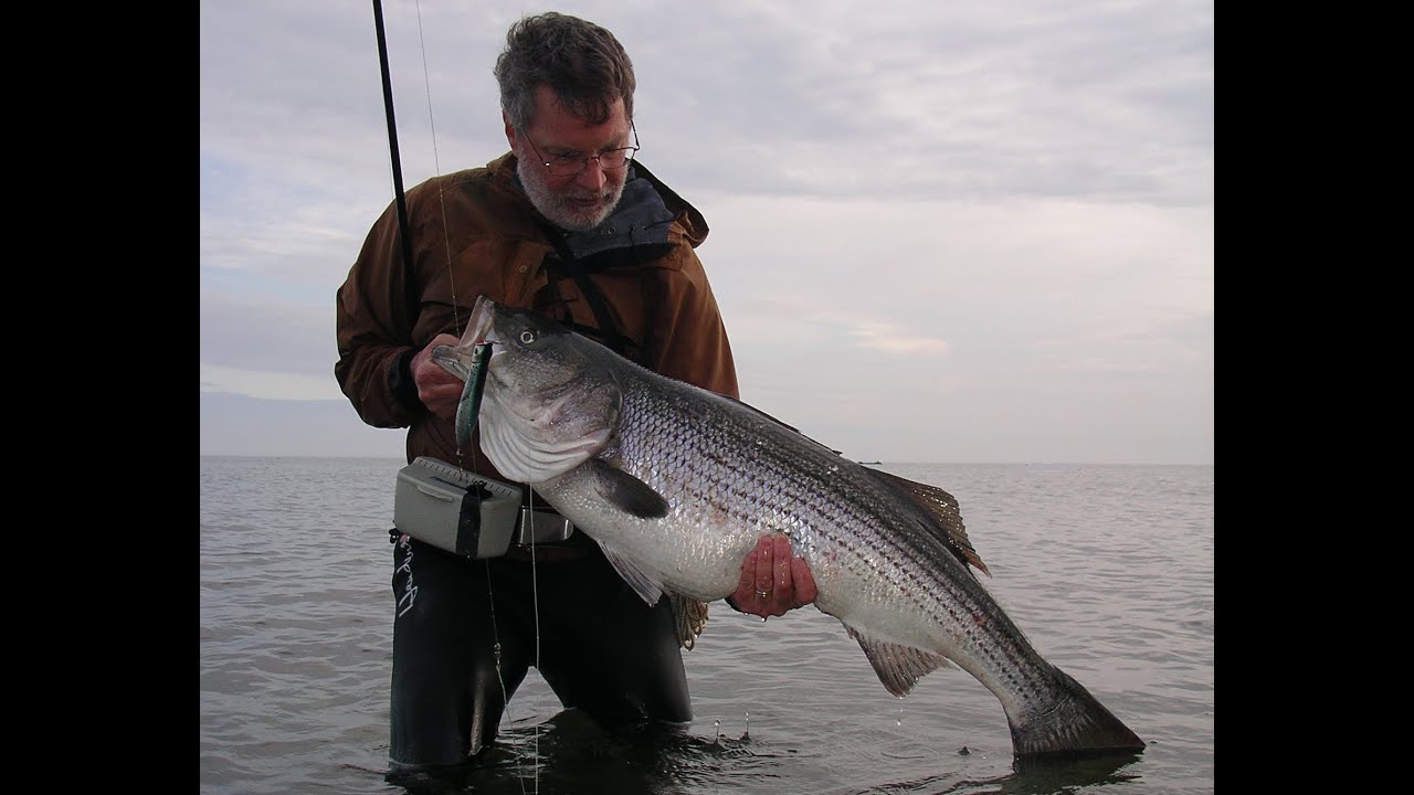 Interview with John Skinner, author of Striper Pursuit - YouTube