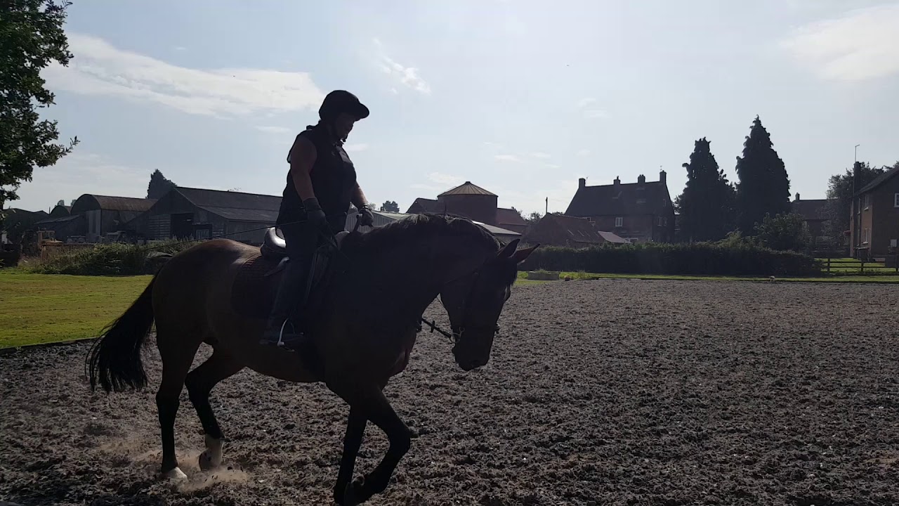 Hazel Webster Haygrazer August 2019 - YouTube