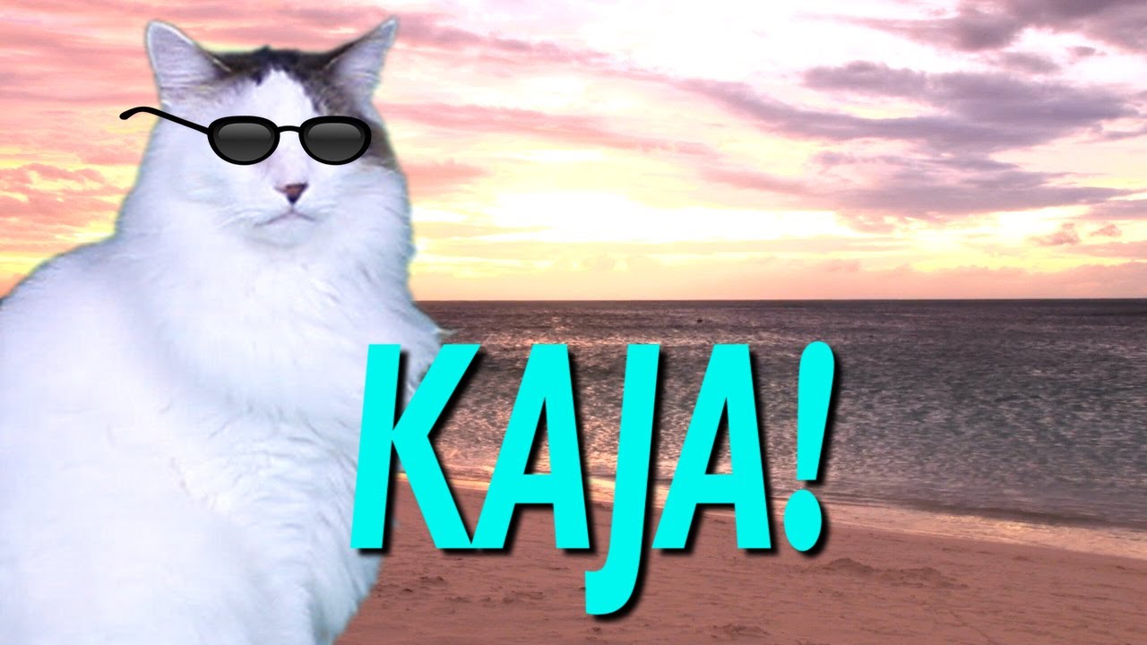 HAPPY BIRTHDAY KAJA! - EPIC CAT Birthday Song - YouTube