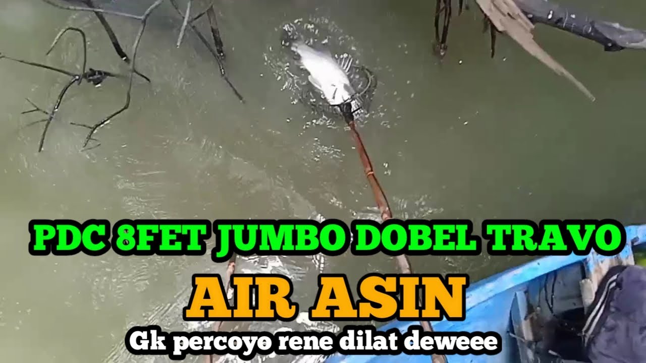 Setrum ikan pdc 8fet jumbo dobel travo tkp air asin - YouTube