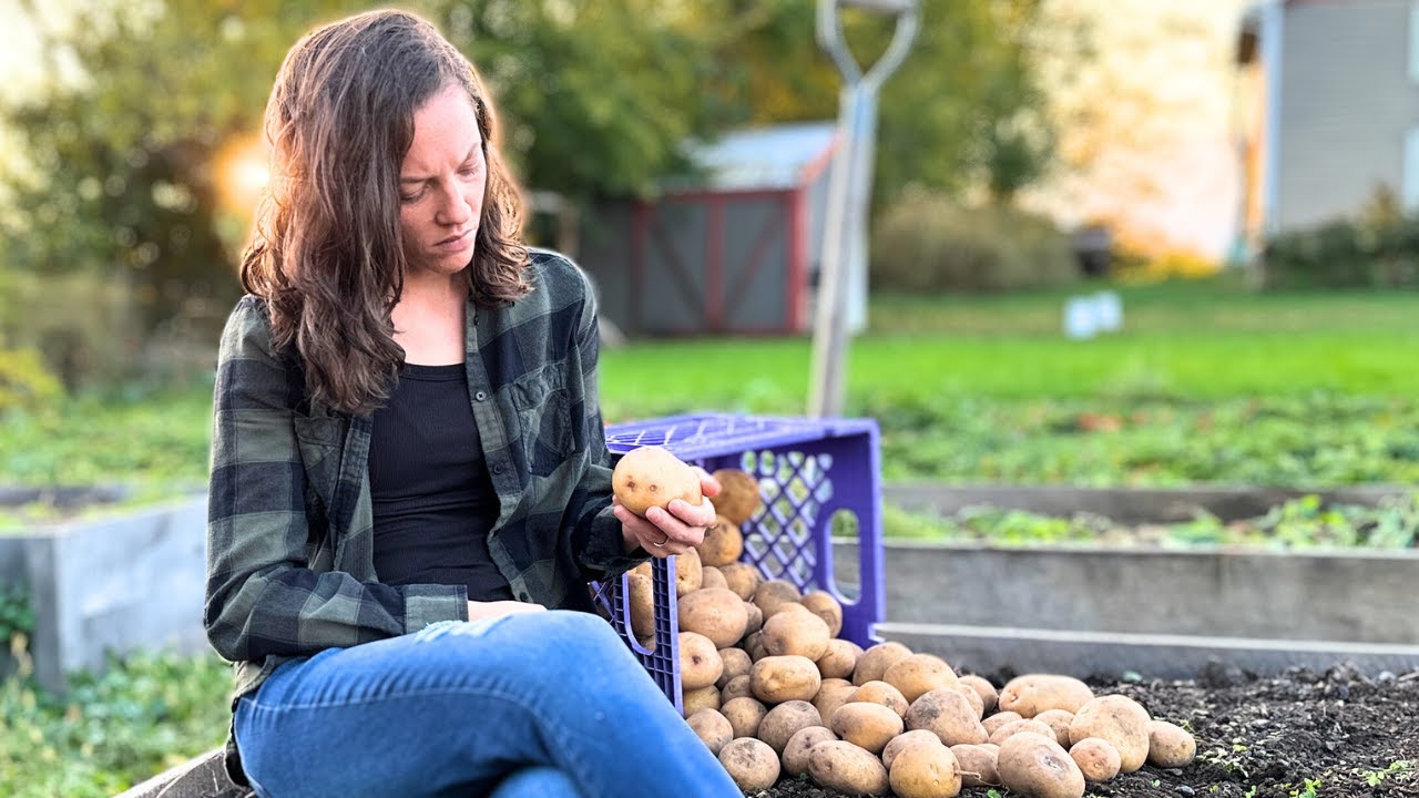 Our BIGGEST Garden and Homestead FAILS this Year - YouTube