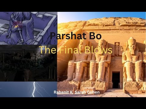 Parshat Bo: The Final Blows - Rabanit K. Sarah Cohen - YouTube