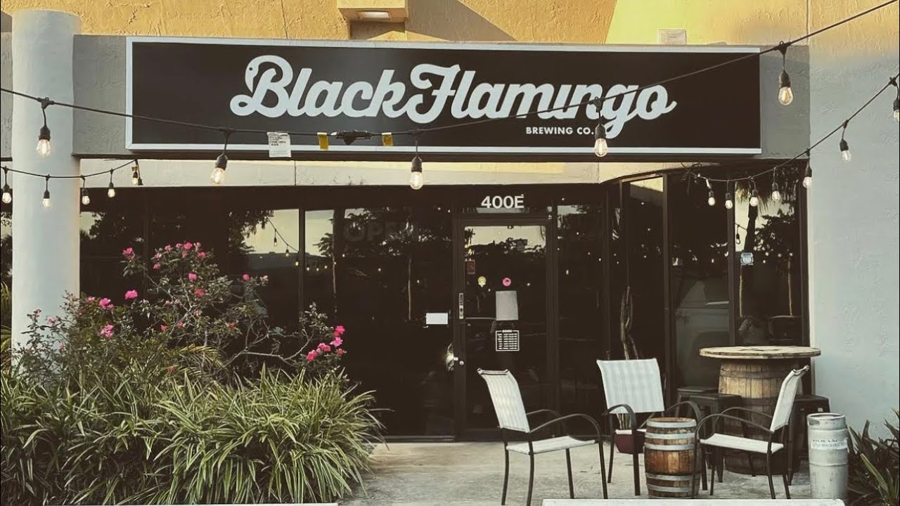 Black Flamingo Gig: Set 2/3 - YouTube