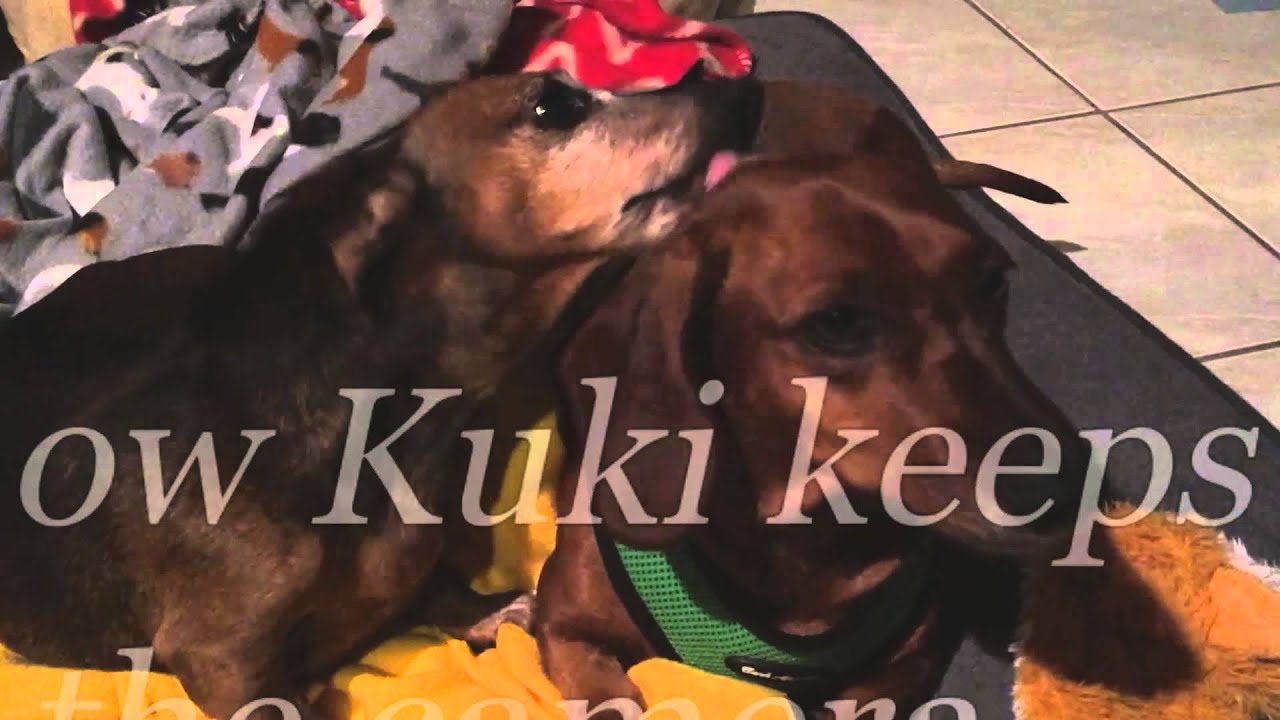 Candy & Kuki - YouTube