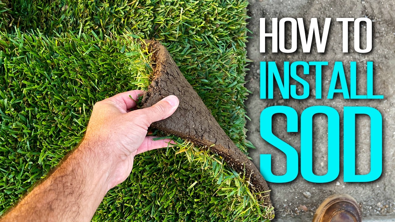 New Sod Installation STEP by STEP! | DIY landscaping. - YouTube
