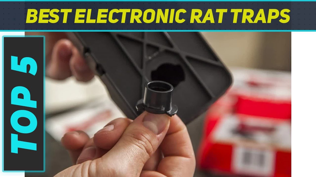 Top 5 Best Electronic Rat Traps 2023 - YouTube
