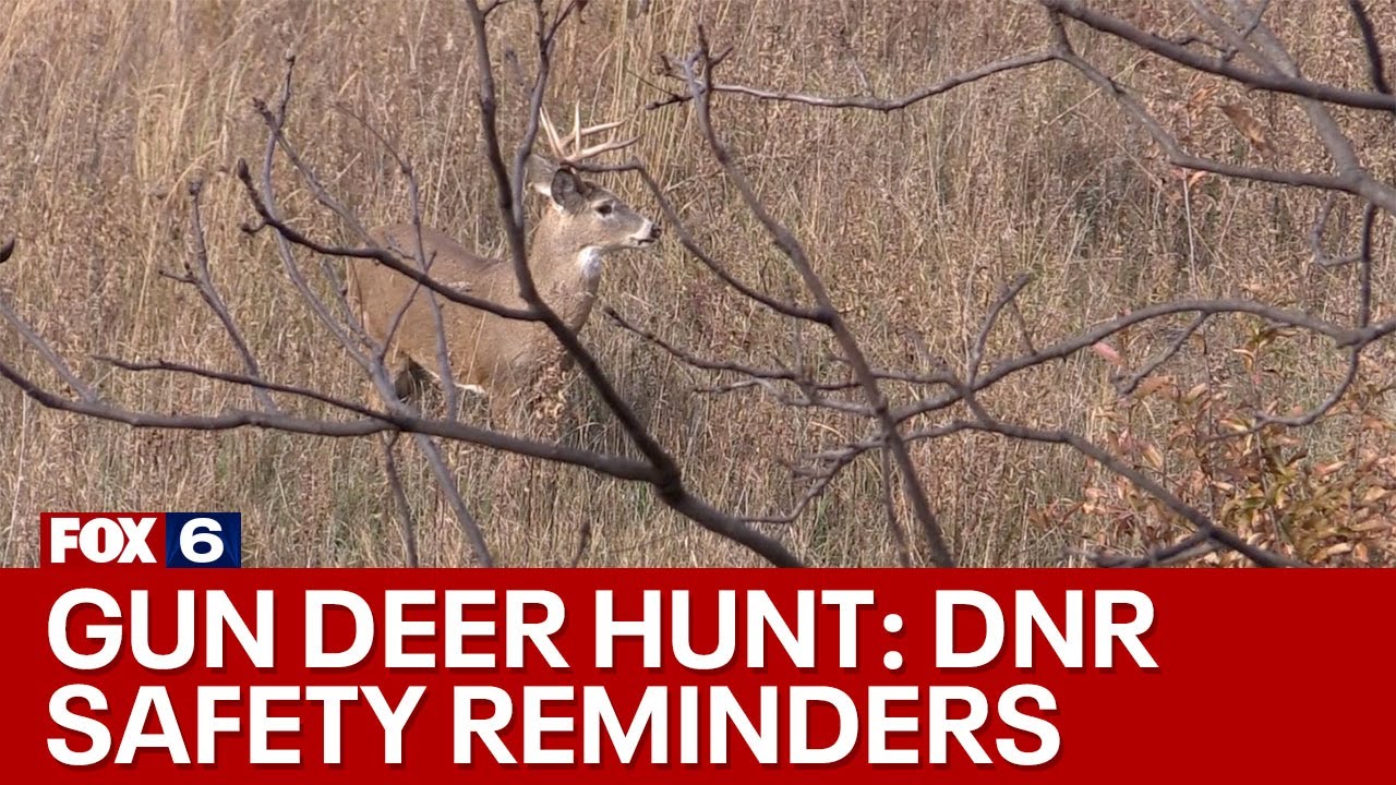 DNR talks gun deer hunt season; safety reminders | FOX6 News Milwaukee ...