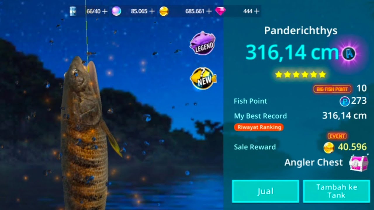 MENANGKAP IKAN PANDERICHTHYS GRADE A😳 - YouTube