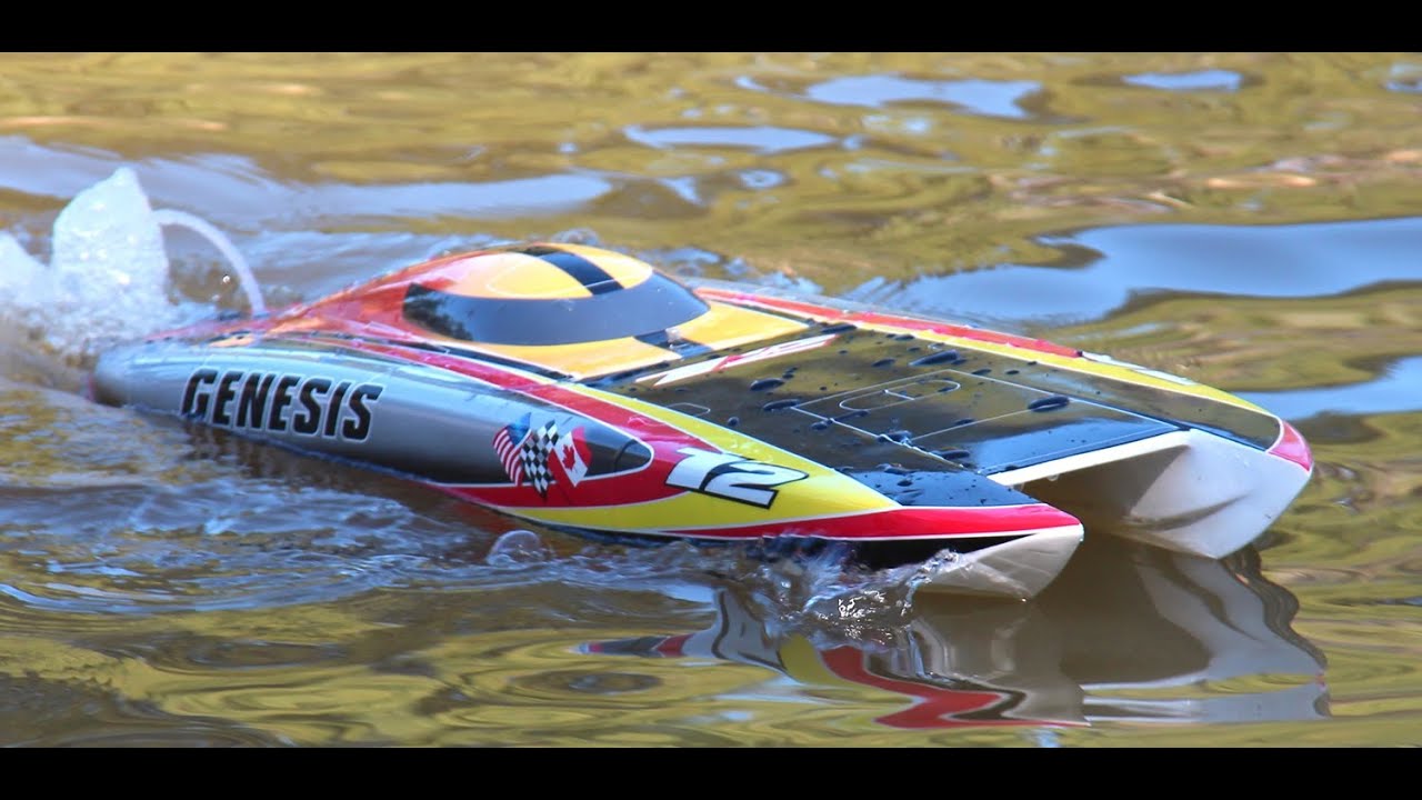 Genesis Cat on 4s - YouTube