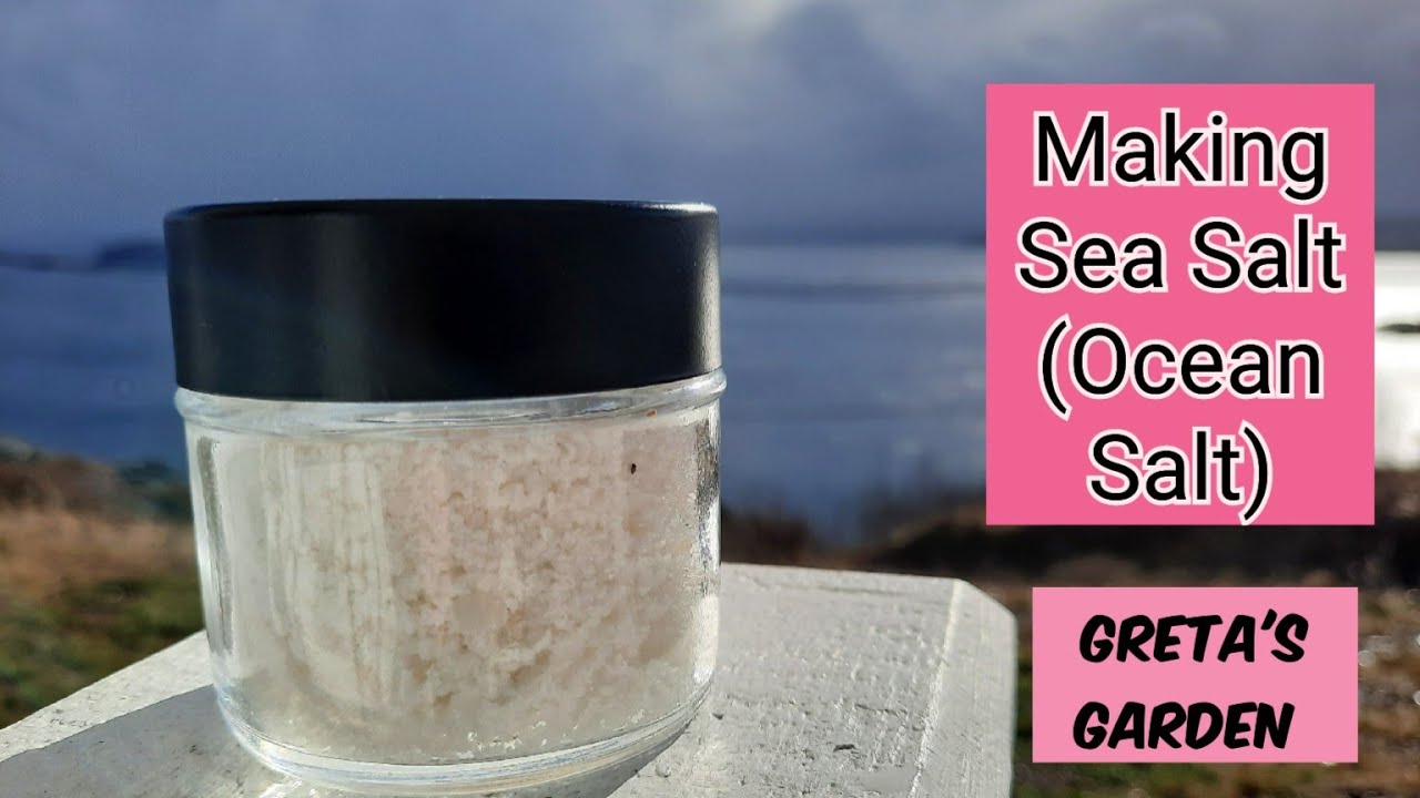 Making Sea Salt (Ocean Salt). Newfoundland - YouTube