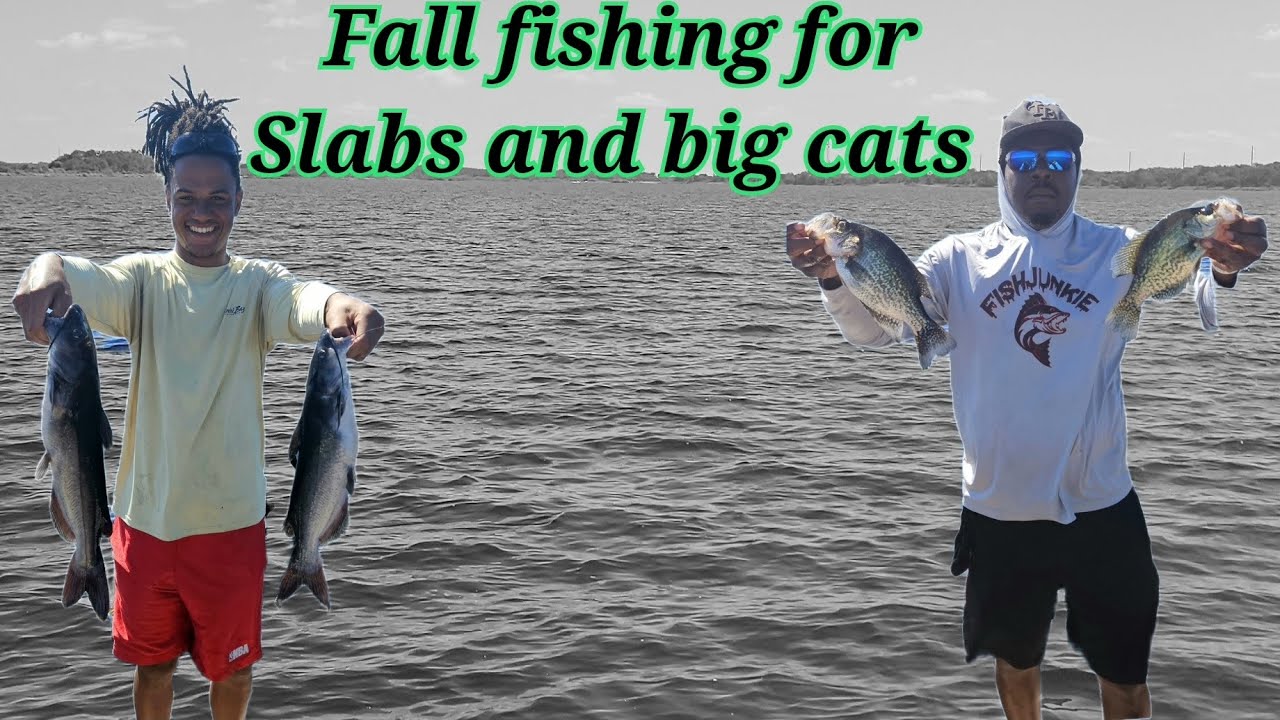 Fall Crappie fishing on Lake Manatee#fishing #crappiefishing #youtube# ...