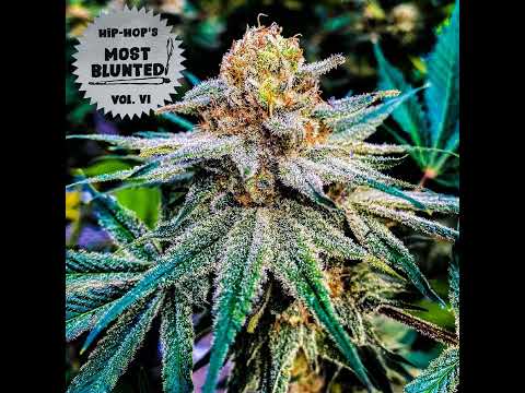 10 Da Cheeba Hawks Ill Blunt Story - YouTube