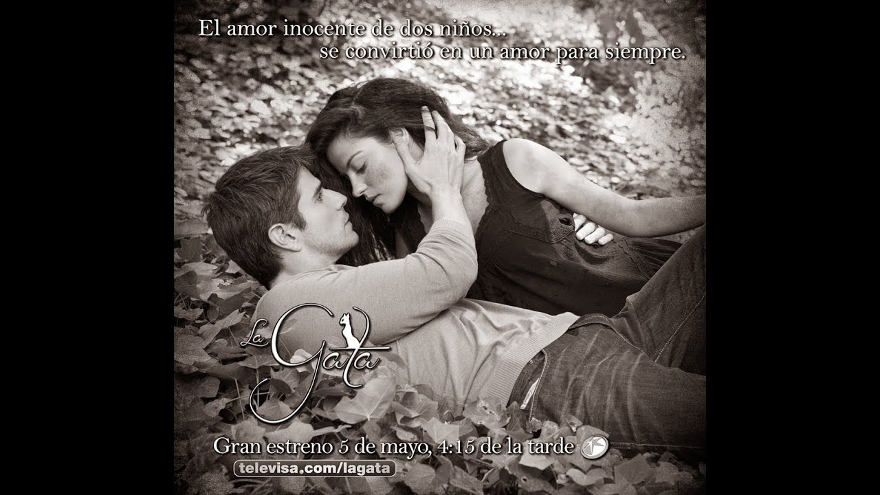 Vas a Querer Volver(Letra)-Maite Perroni - YouTube