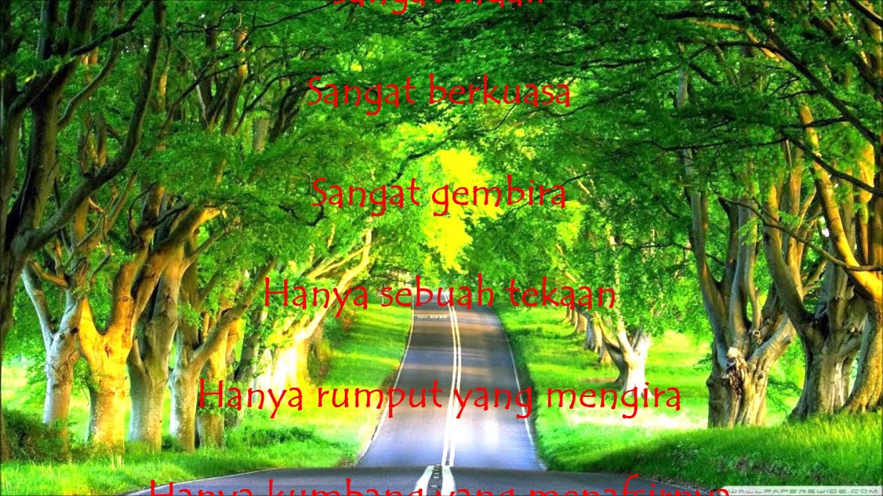 Pepohon Besar - YouTube