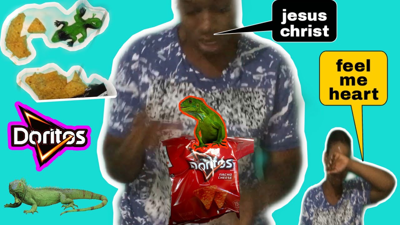 LIZARD/FROG IN DORETOS PRANK ON GIRLFRIEND | She almost die 🤣🤣 - YouTube