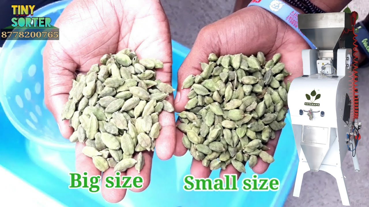 Cardamom size Sorting by 'TINY Sorter' - YouTube