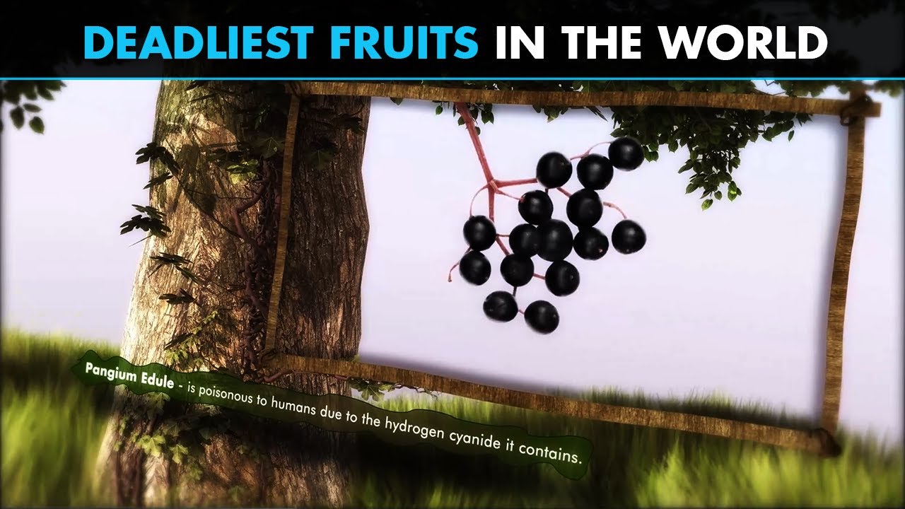 Deadliest Fruits In The World (3D Comparison) - YouTube