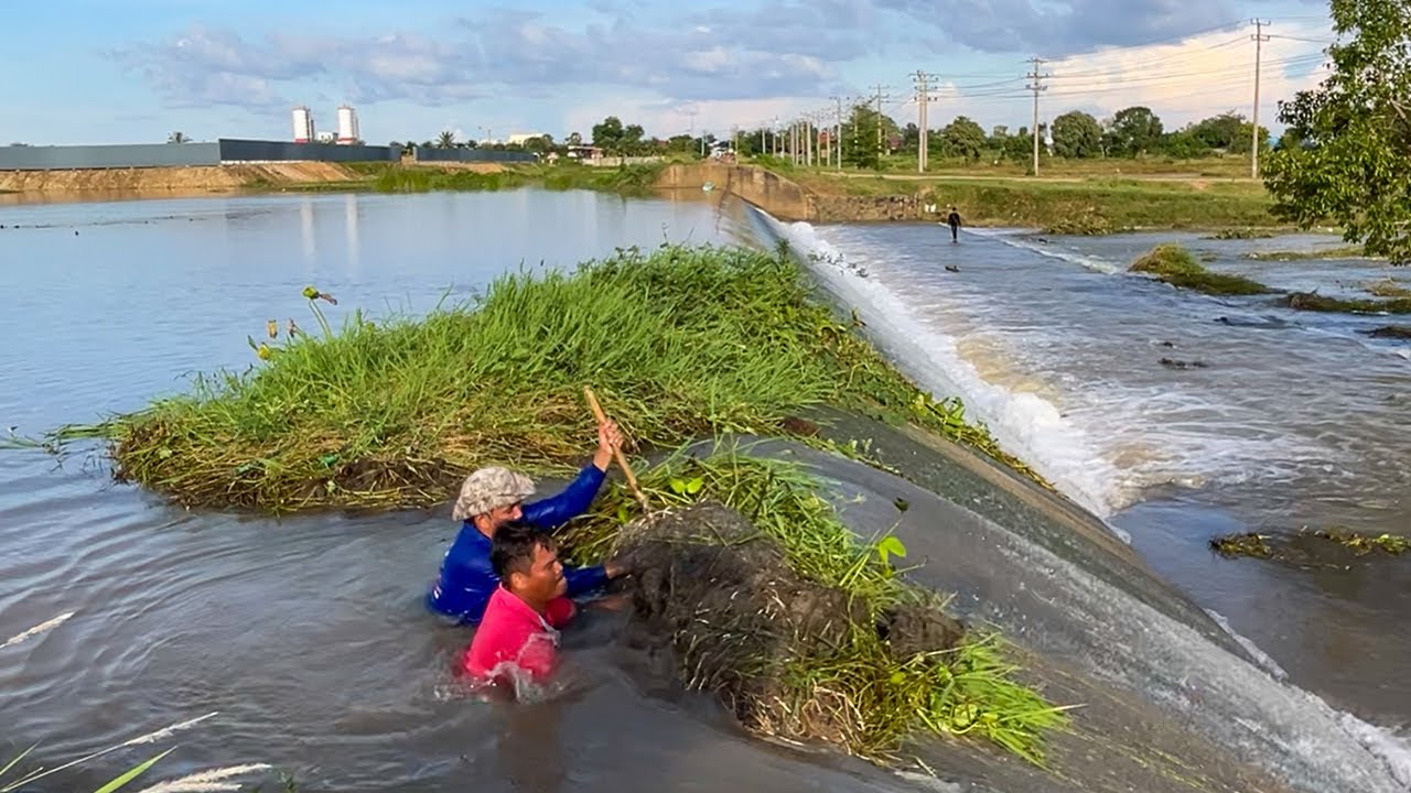 Remove Grass Growth Over Dam Drainage - YouTube