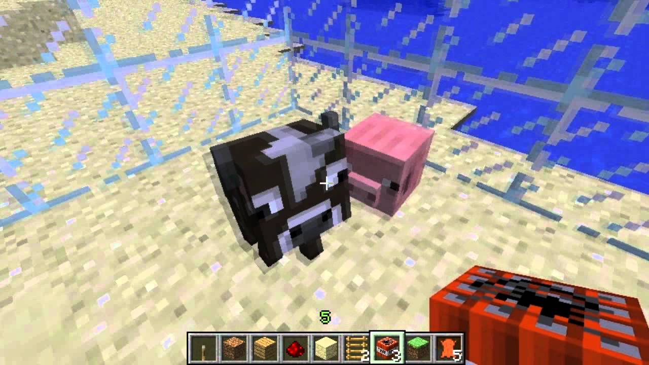 Minecraft Baby Animals - YouTube