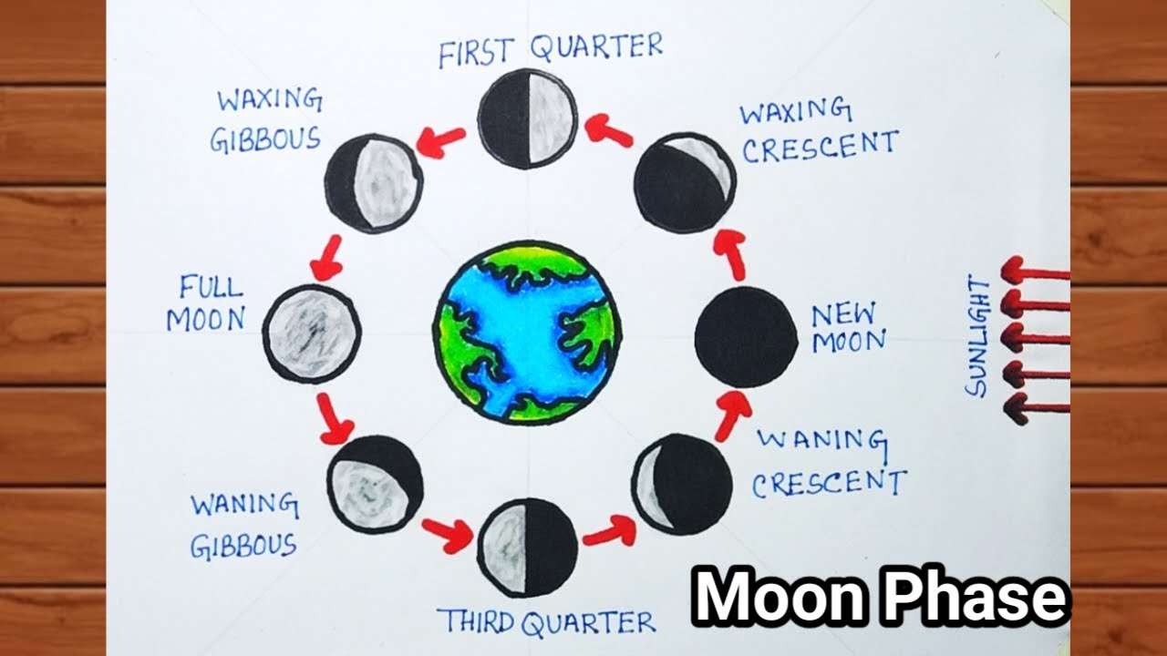 Phases of Moon Drawing Project / How to Draw Phases of The Moon - YouTube