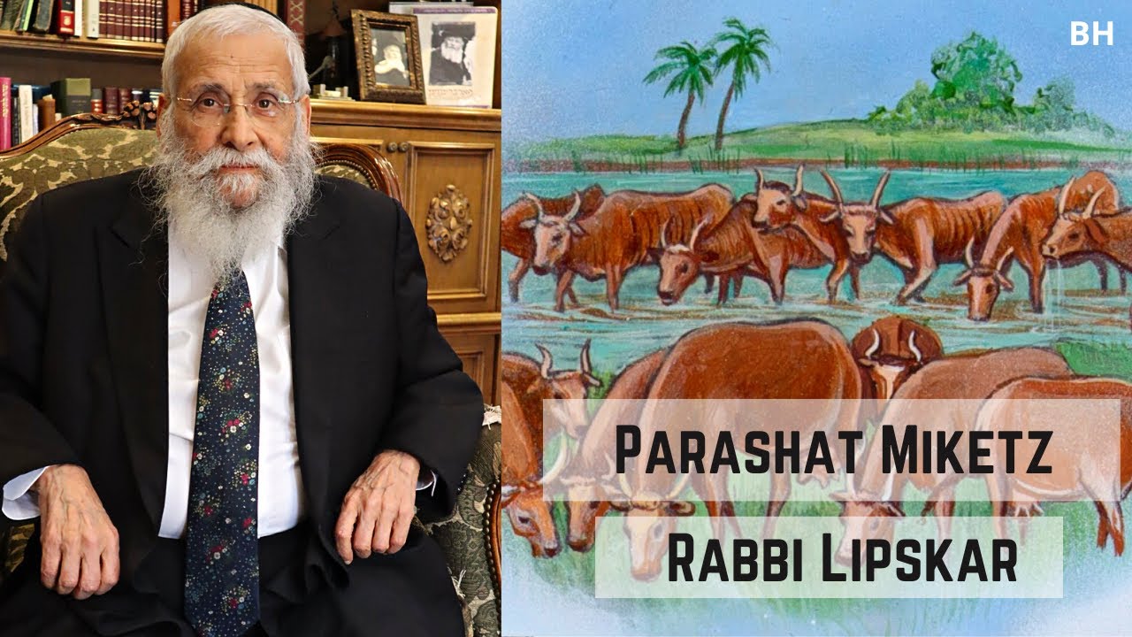 Rabbi Lipskar - Parashat Miketz! - YouTube