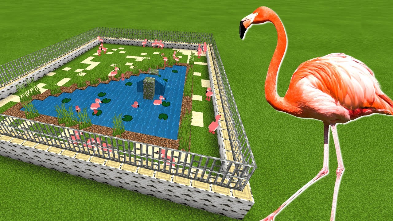 MCPE: How To Make a Flamingo Farm - YouTube